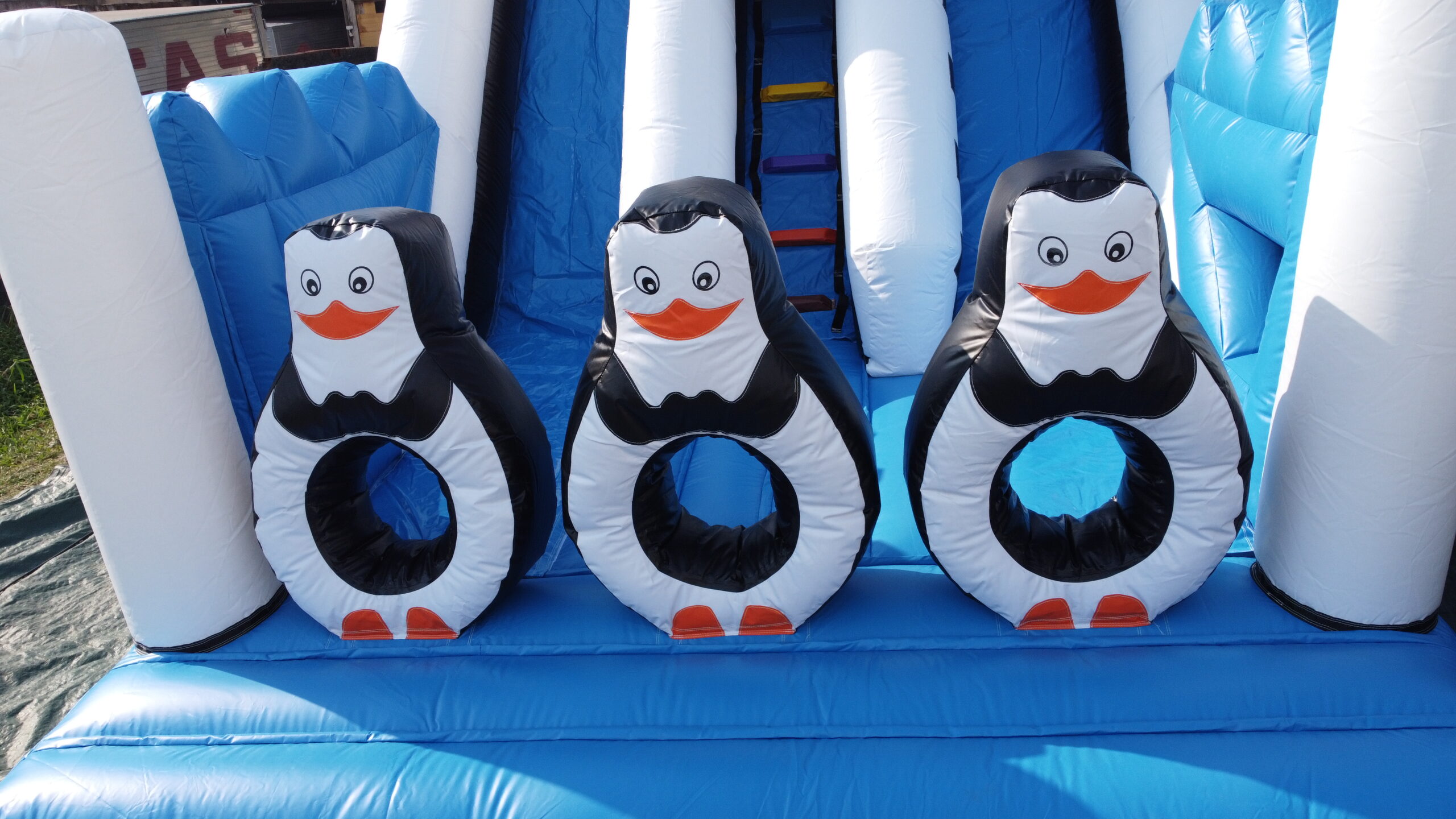 Tobogã Era do Gelo - Bull Machine